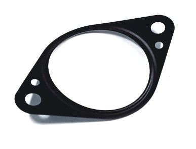 Audi EGR Valve Gasket (A, Q Series): RACCAR Automotive