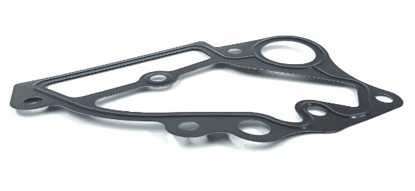 Audi Coolant Flange Gasket: RACCAR Automotive