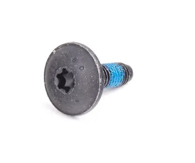 Audi Torx Head Screw (R8): RACCAR Automotive