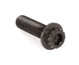 Audi Crankshaft Gear Bolt: RACCAR Automotive